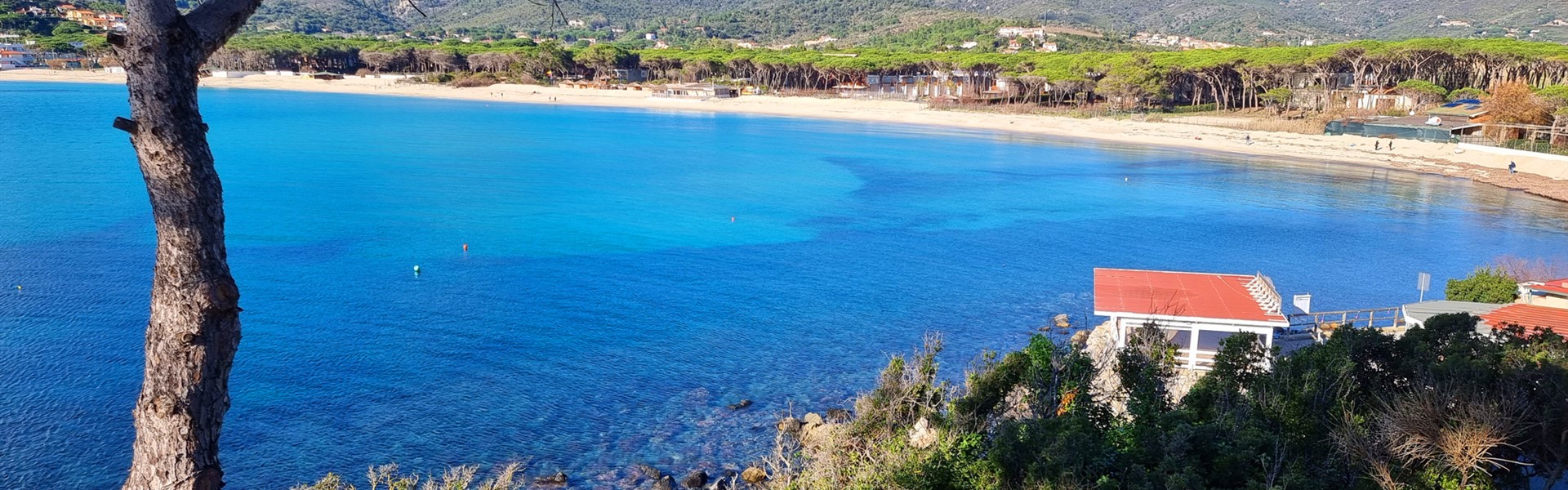 Discover the best restaurants and pizzerias in Elba! | ElbaMyLove