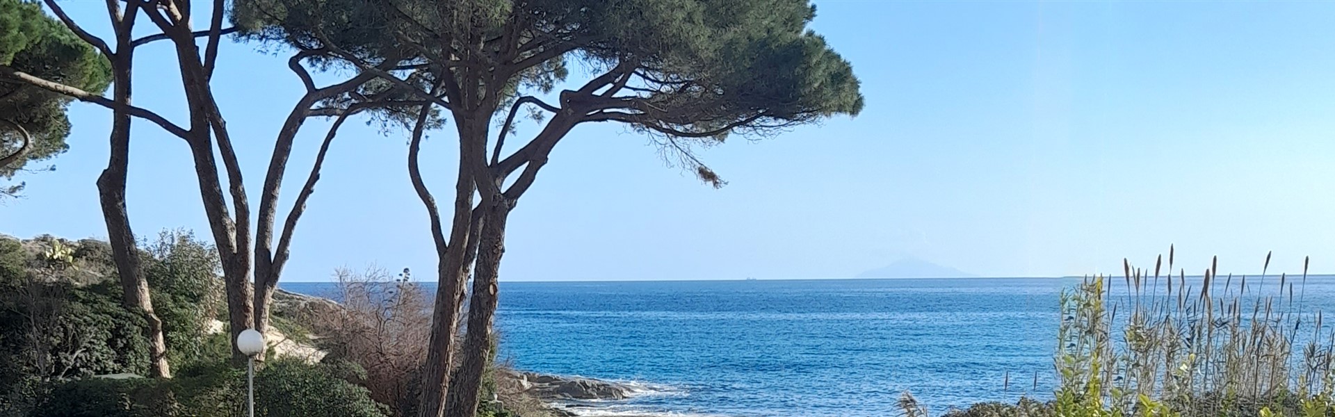 Discover the best restaurants and pizzerias in Elba! | ElbaMyLove